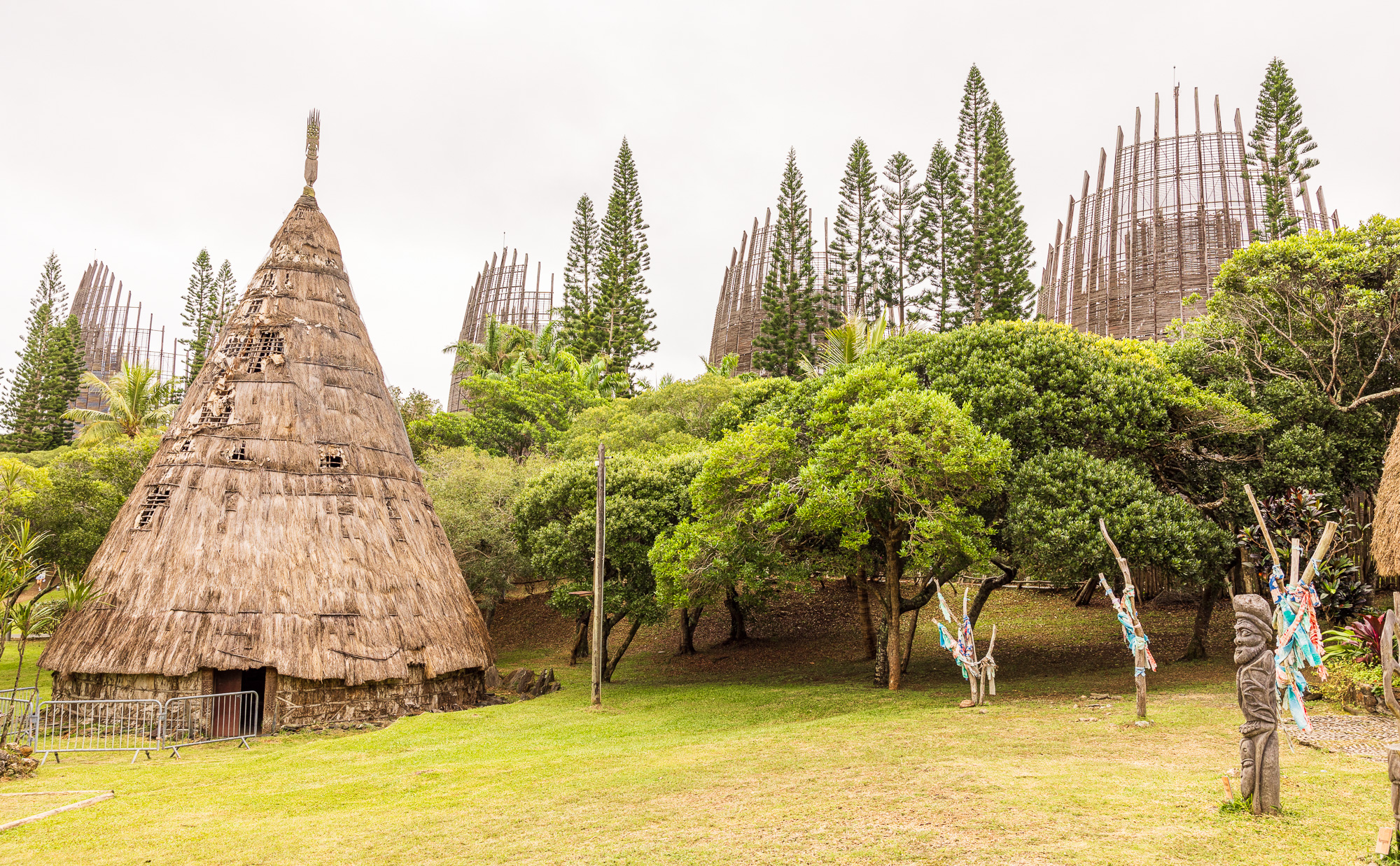 Liberté retrouvée, CAT'LEYA en Nouvelle-Calédonie - CAT'LEYA